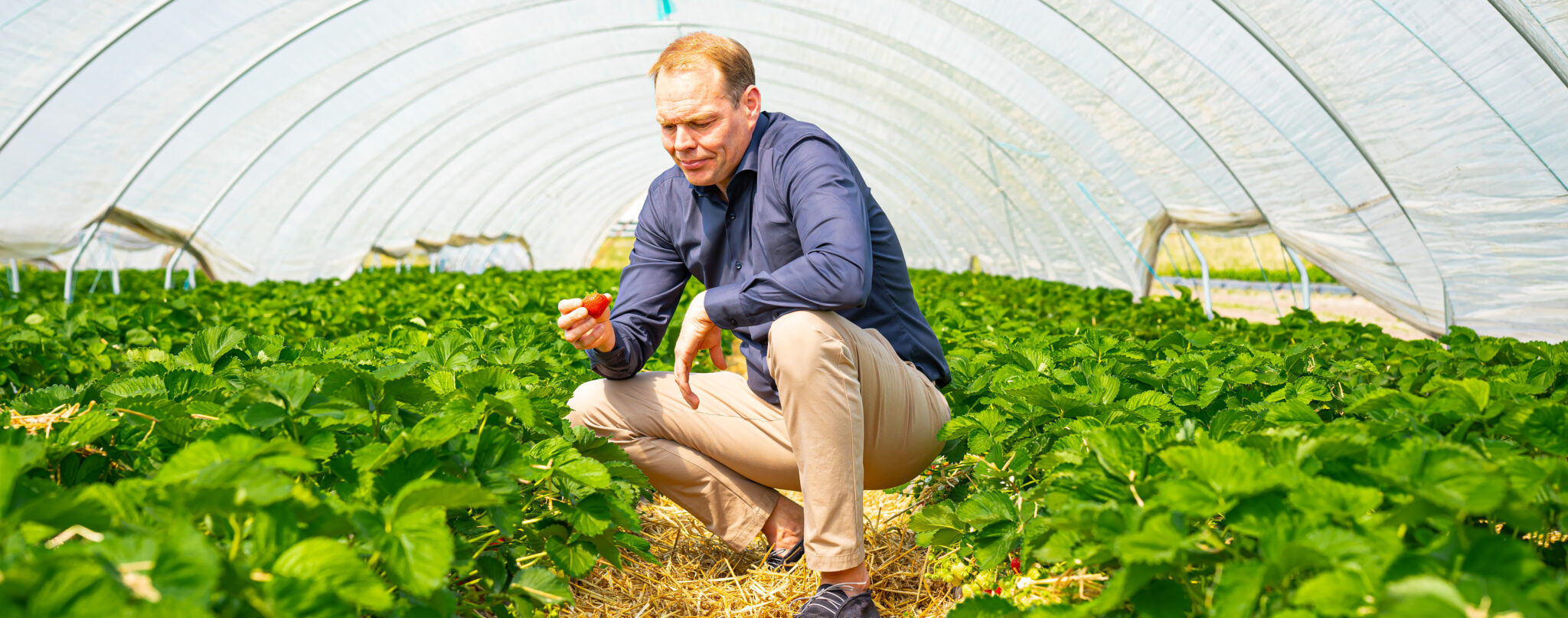 Voordelen van samenwerken met Nedflex | Agri Work