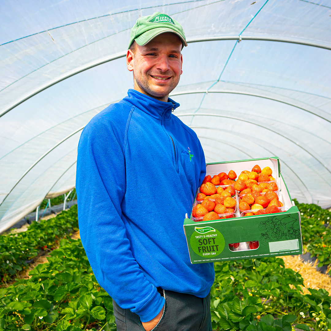 Voordelen van samenwerken met Nedflex | Agri Work